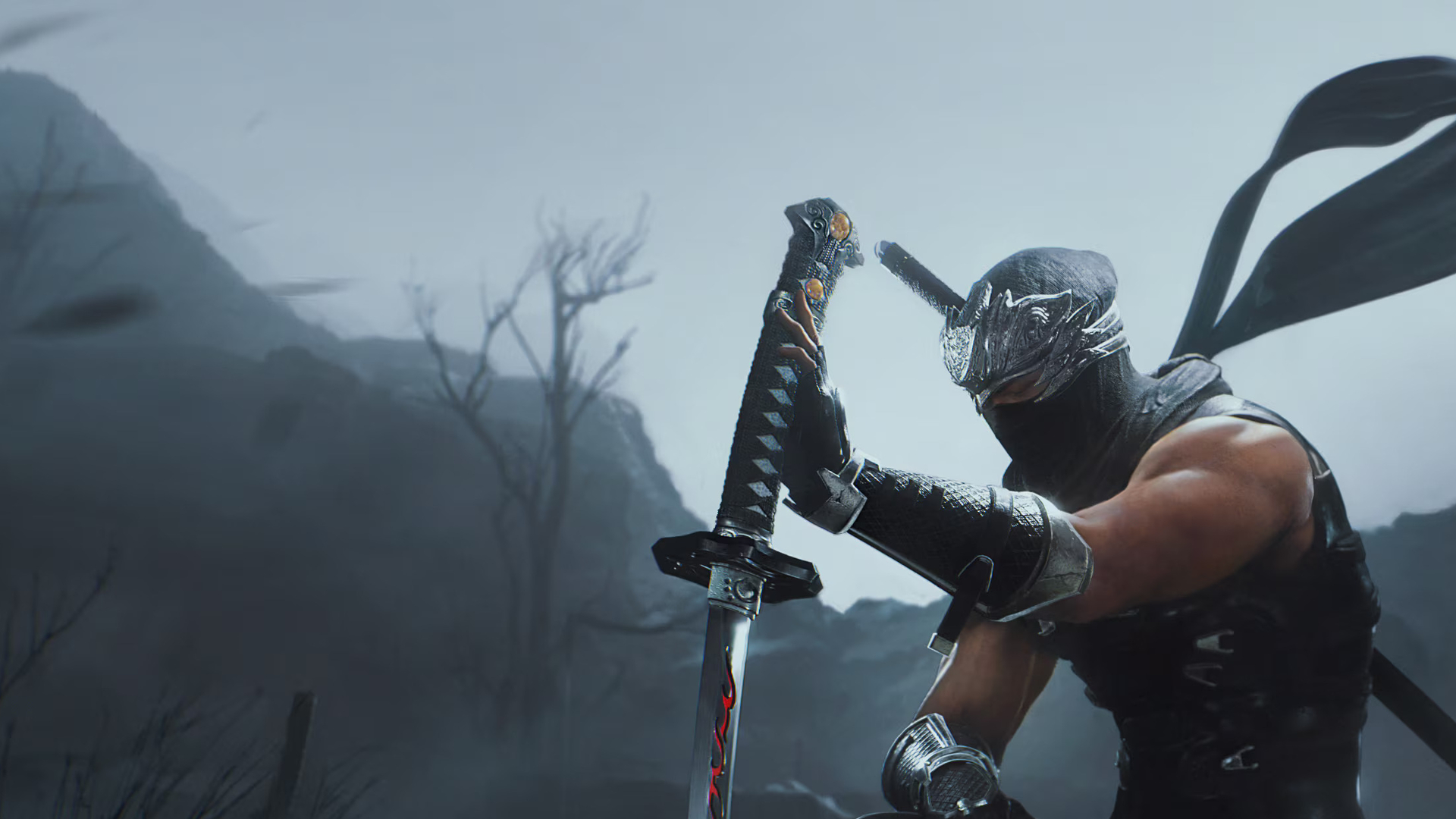 Ninja Gaiden 2 Black